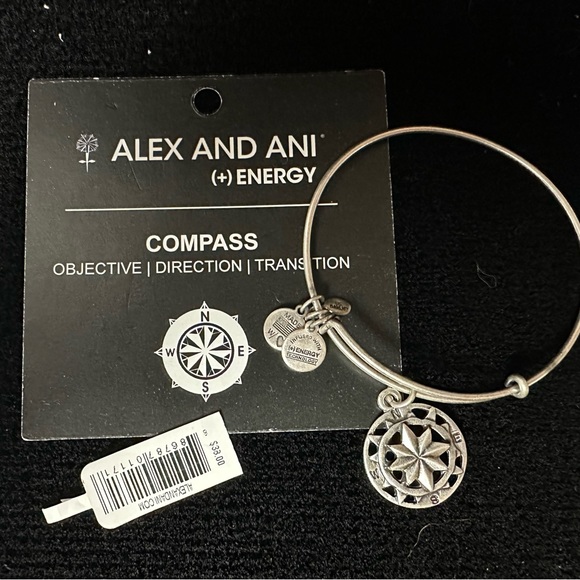 Alex and Ani | Jewelry | Alex And Ani Compass Bangle | Poshmark